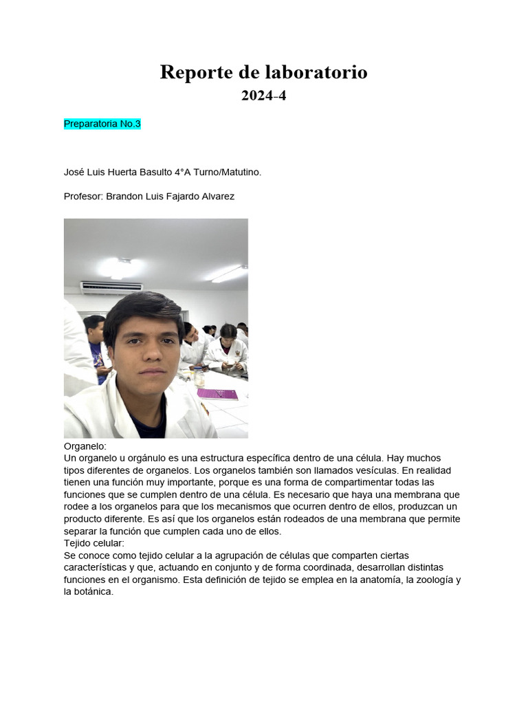 Copia de Reporte Final de Laboratorio | Descargar gratis PDF | Retículo ... Copia de Reporte Final de Laboratorio | Descargar gratis PDF | Retículo ...