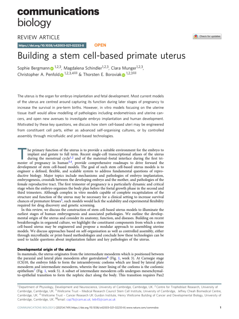 Stem Cell-Based Primate Uterus Models | PDF | Menstrual Cycle | Uterus