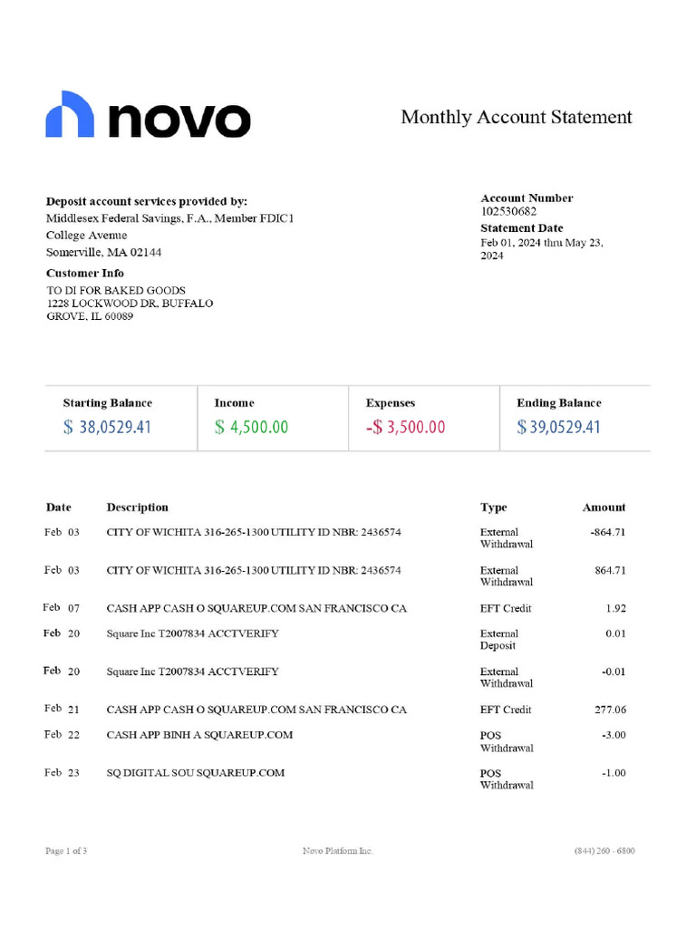 Novo Statement | PDF