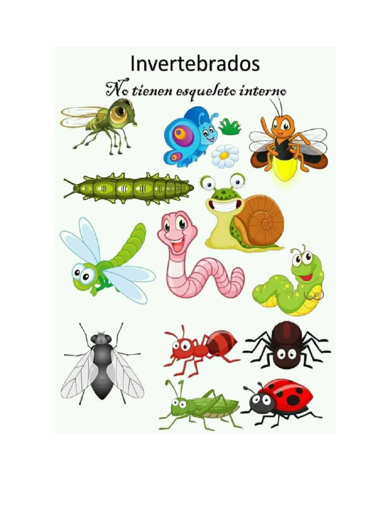 Clasificación De Animales Pdf