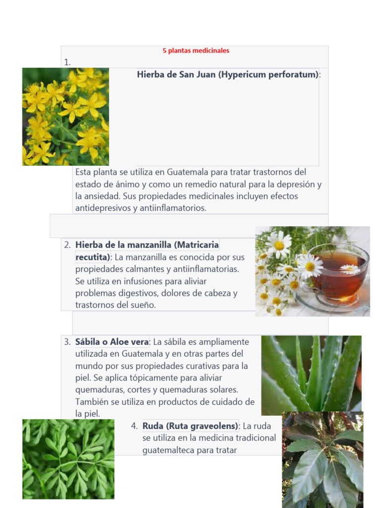 5 Plantas Medicinales | PDF
