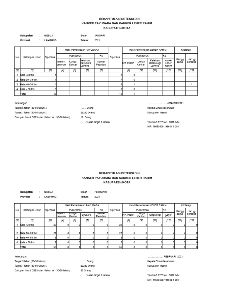 Rekap Deteksi Iva Kab Mesuji 2021 | PDF