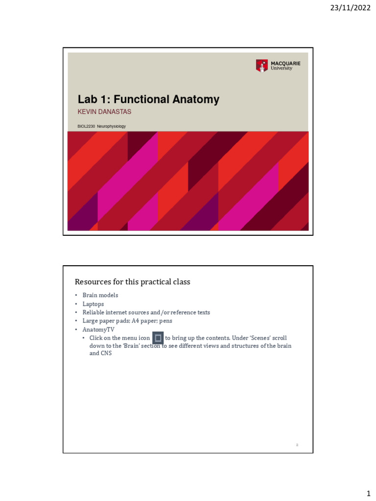 Neurophysiology Lab: Jigsaw Learning | PDF | Brain | Neuroscience