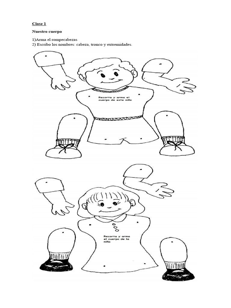 Ciencias Naturales (Cuerpo Humano) | PDF | Sistema digestivo humano ...