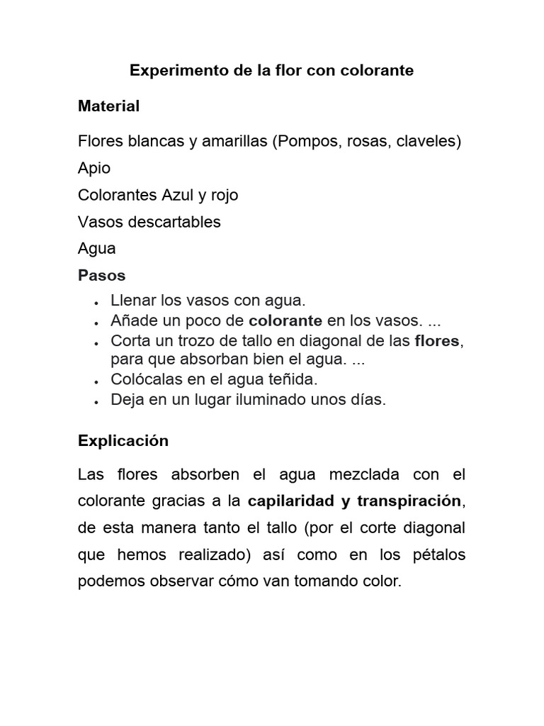 Experimento de La Flor Con Colorante | PDF