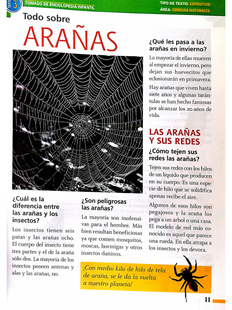 ARAÑAS | PDF