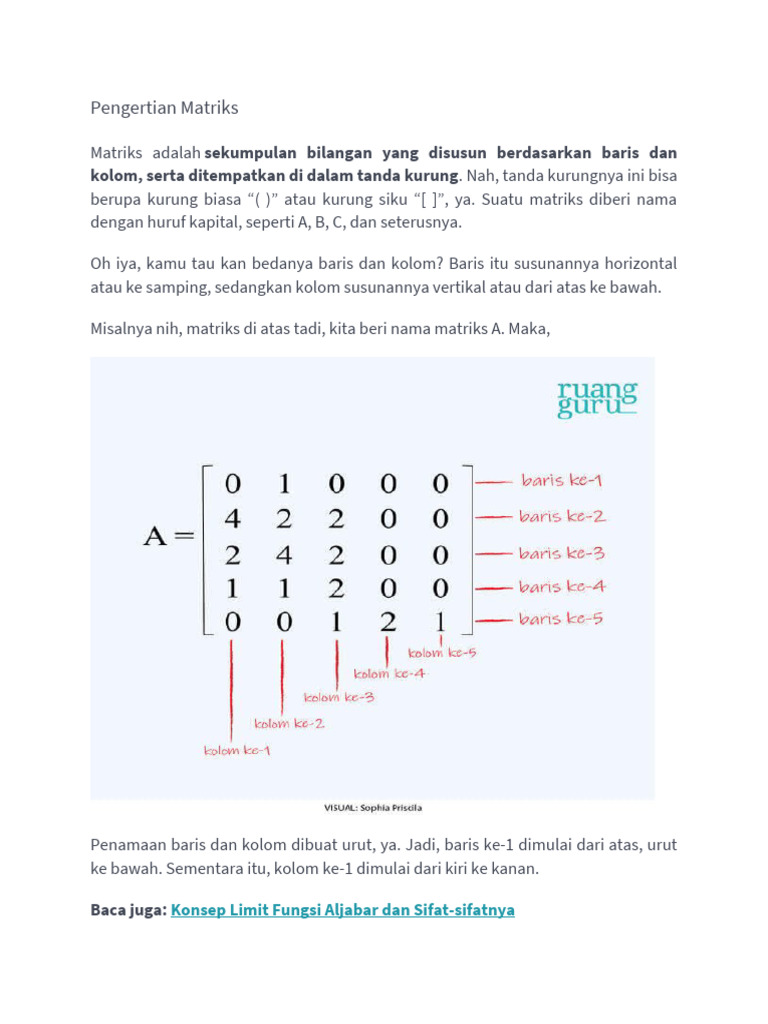 Pengertian dan Jenis Matriks Matematika | PDF