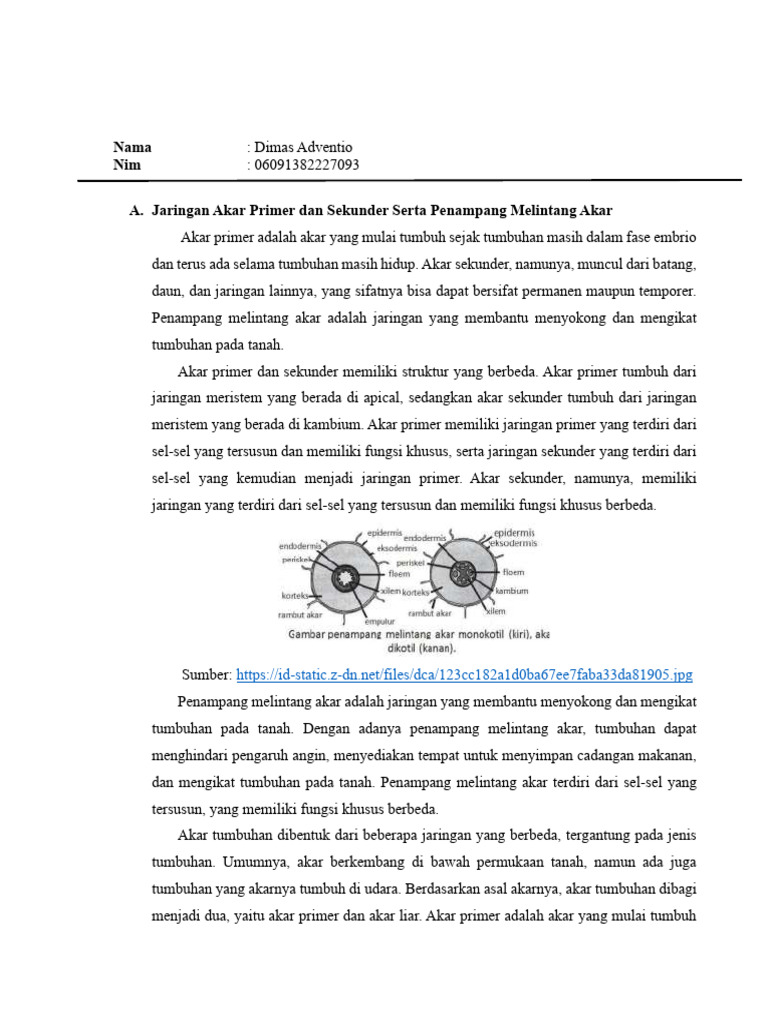 Tugas Anatomi Tumbuhan - Dimas | PDF | Griya & Taman | Kesehatan Holistik