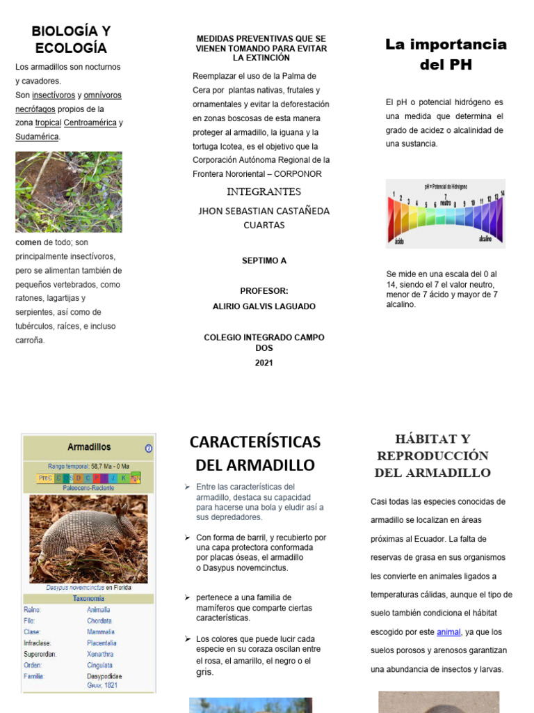 Folleto Sobre El PH | PDF | Ph