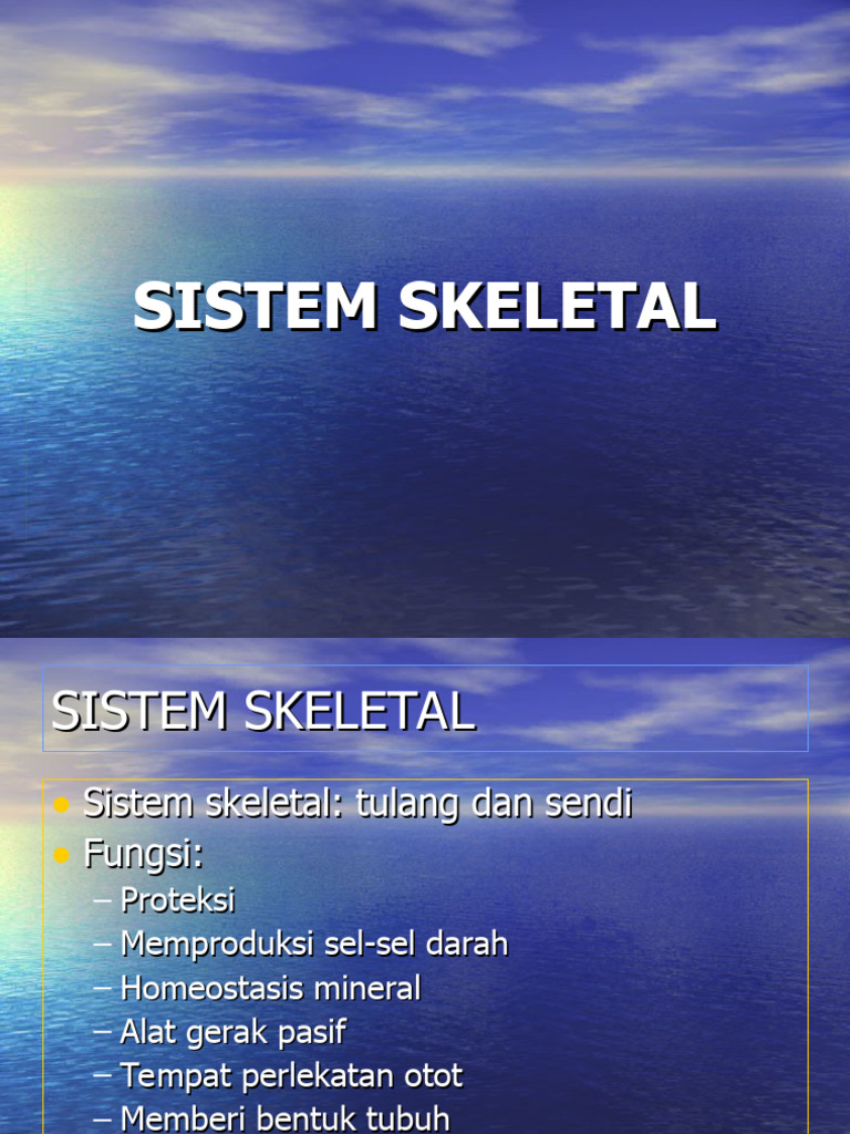 Klasifikasi dan Struktur Os Breve | PDF | Kajian Bahasa Asing ...