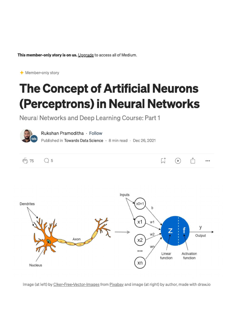 Simple Perceptron | PDF