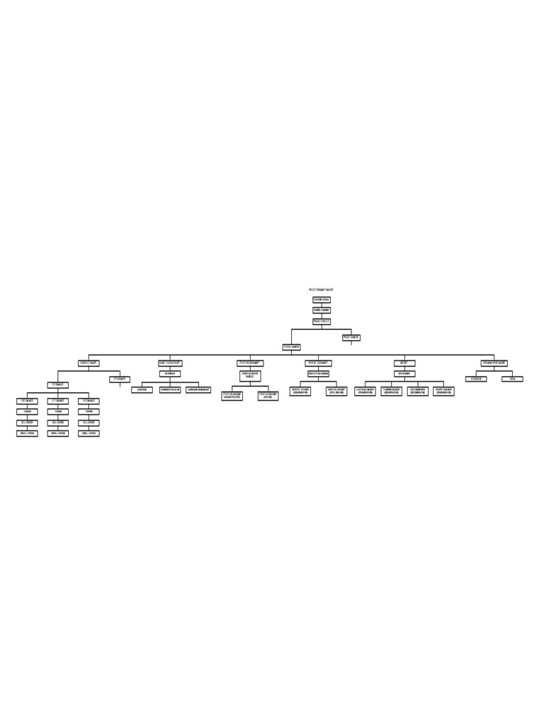 Project Organization Chart | PDF