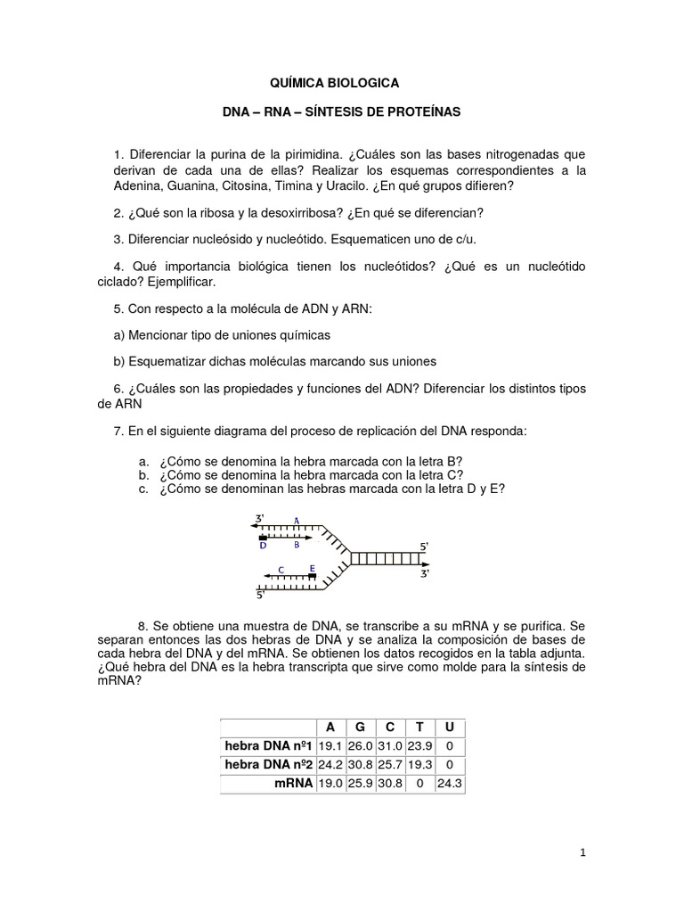 ADN - ARN, Sintesis de Proteinas | PDF | Adn | Rna