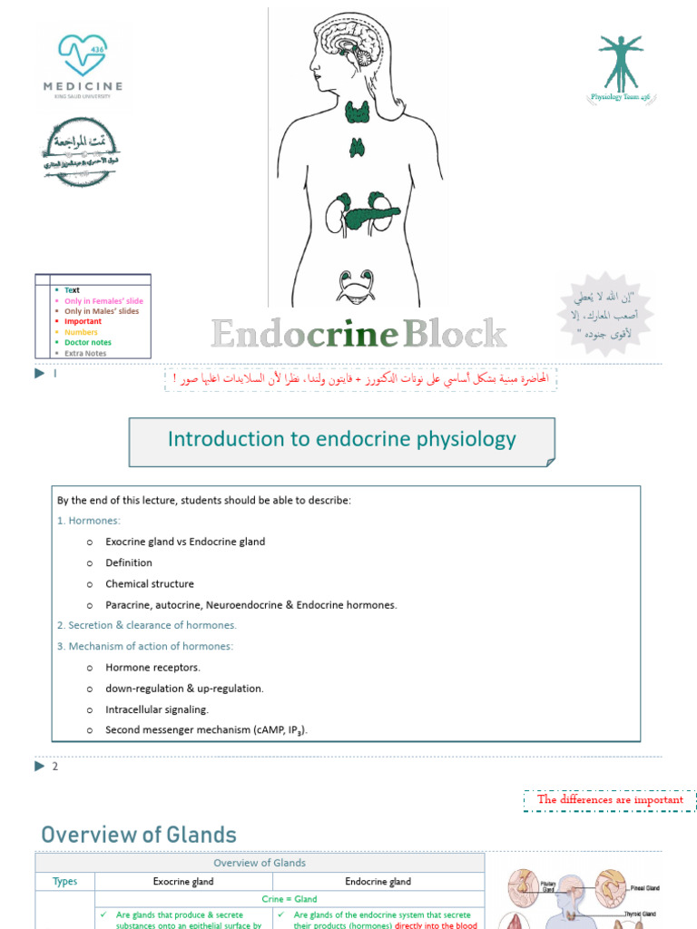 1.introduction To The Endocrine Physiology | PDF | Hormone | Endocrine ...