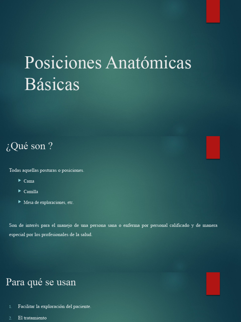 Posiciones Anatómicas | PDF | Términos anatómicos de ubicación | Pelvis