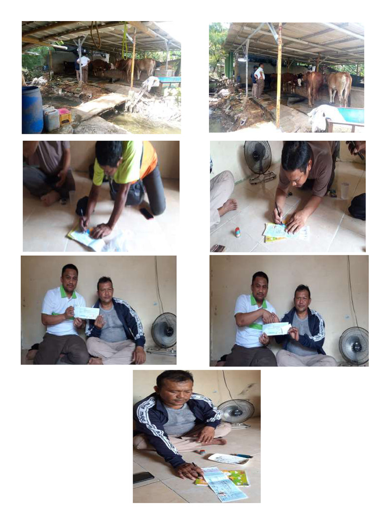 Dokumentasi Pembelian Sapi | PDF