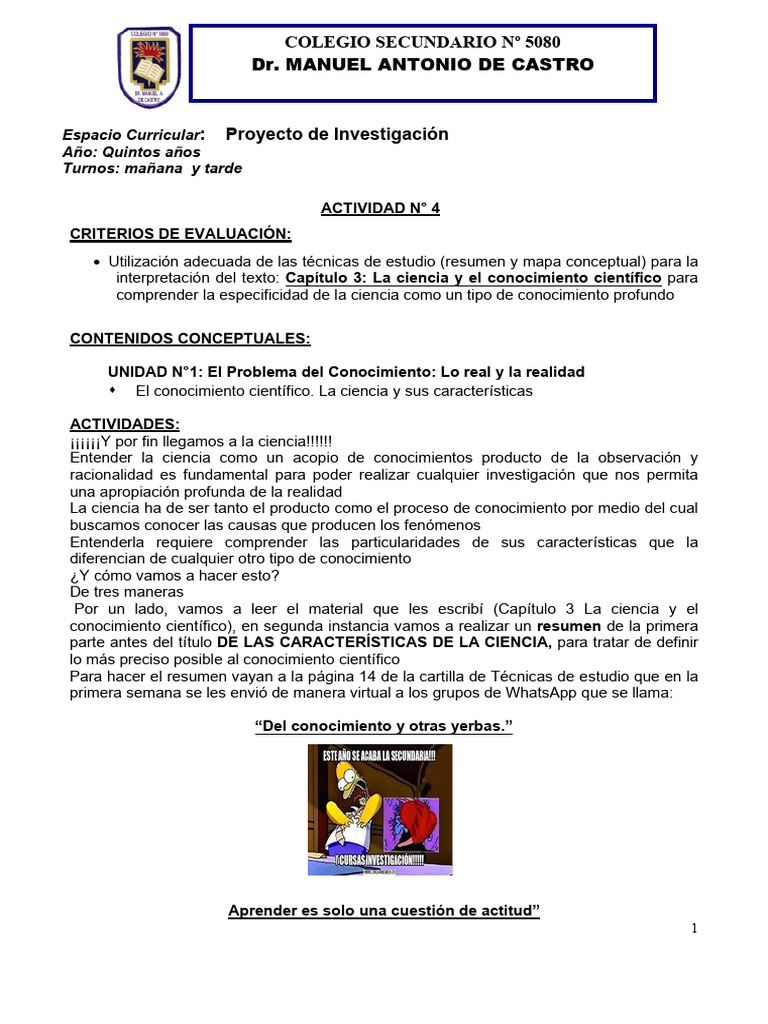 ACTIVIDAD N°4 Proyecto 2024 | PDF | Conocimiento | Teoría