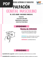 2.7. Exploración Testicular. 2.8. Escroto. 2.9. Técnicas y Maniobras de ...
