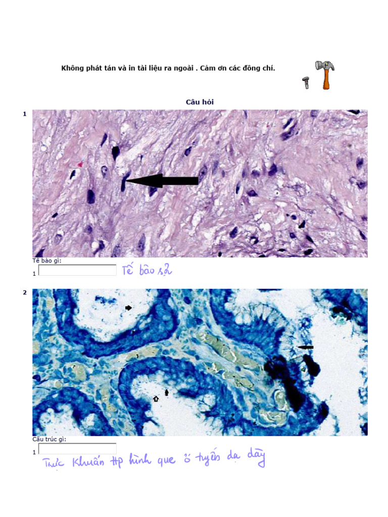 Đề thực hành GPB số 1 | PDF