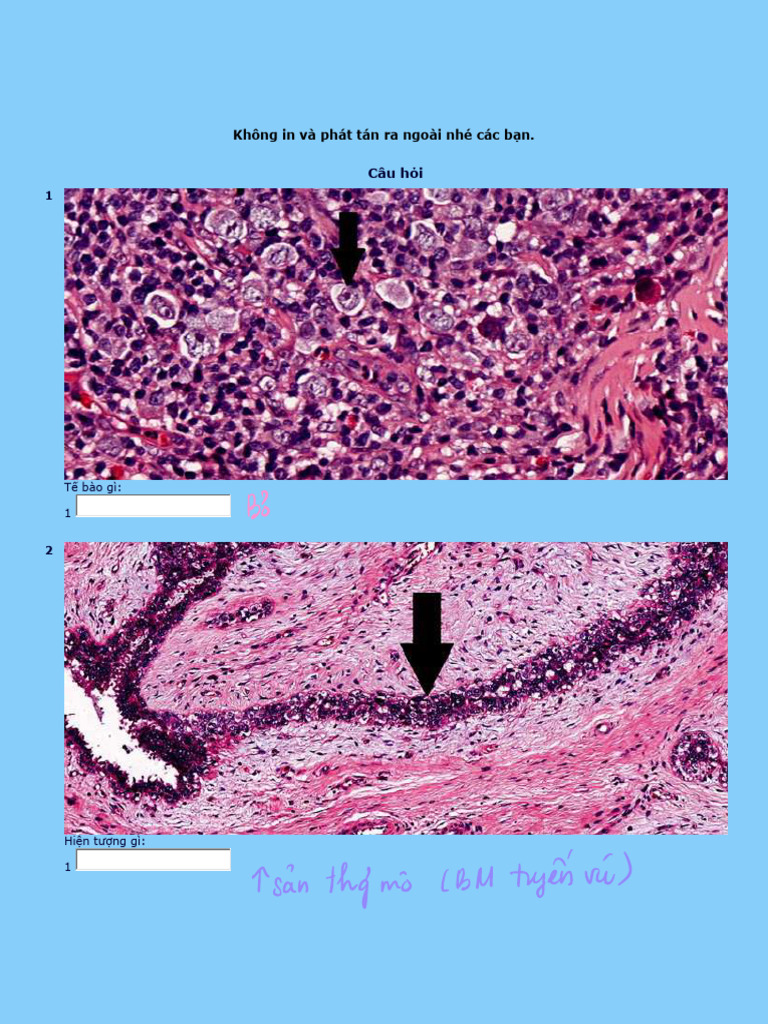 Đề-thực-hành-GPB-số-3 | PDF