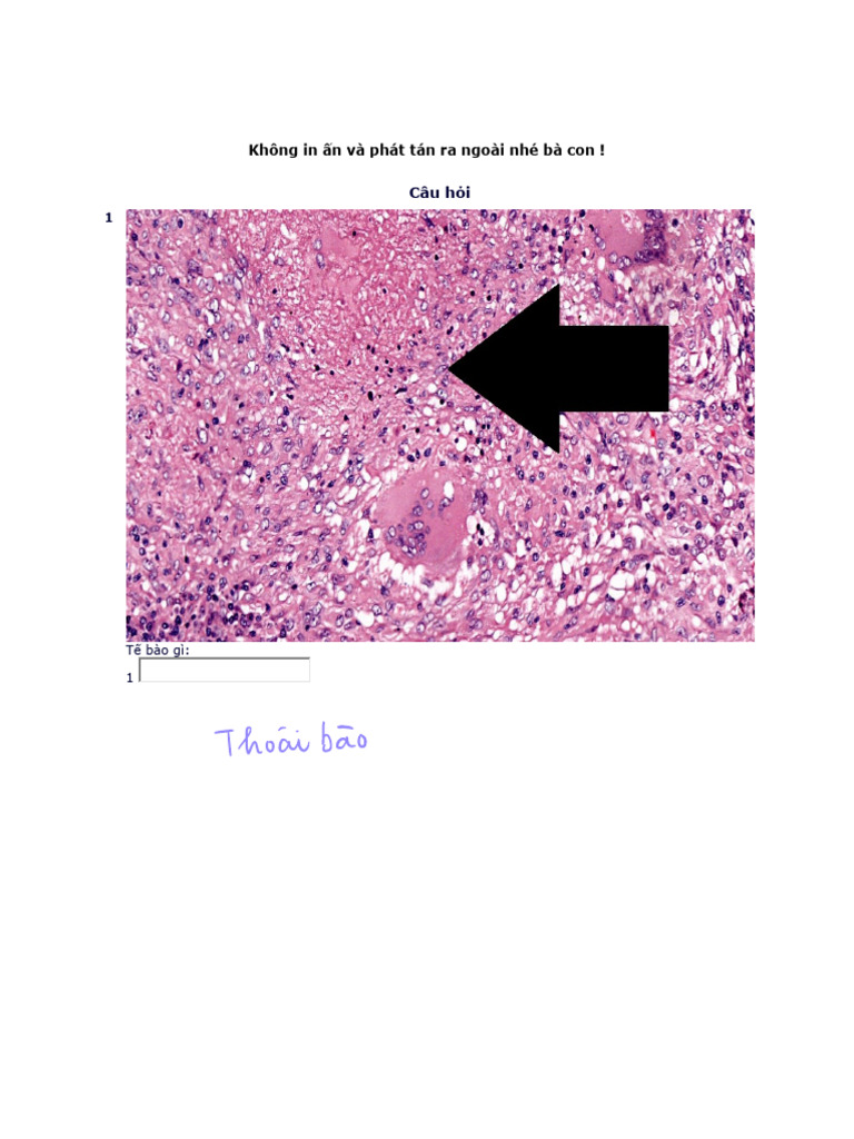 Đề thực hành GPB số 8 | PDF