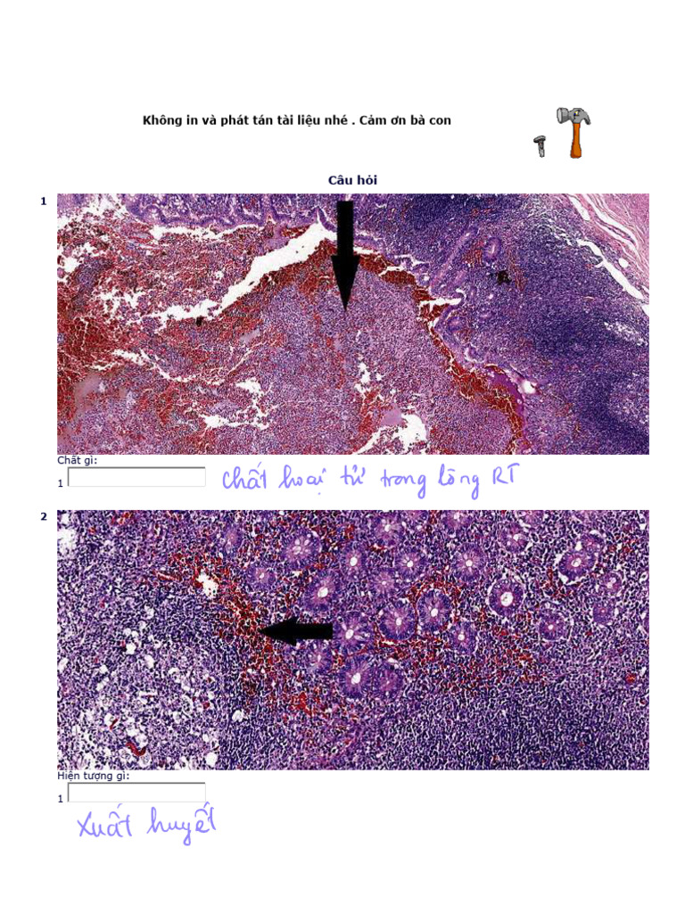Đề thực hành GPB số 2 | PDF