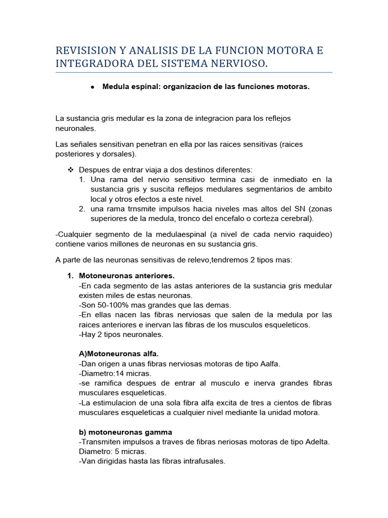 Funciones Motoras del Sistema Nervioso | PDF | Materia gris | Lóbulo ...