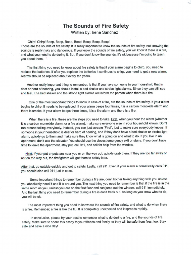 Fire Safety Winning Essay | PDF