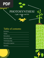 APA7 Citation Generator. Citefast Automatically Formats Citations in ...