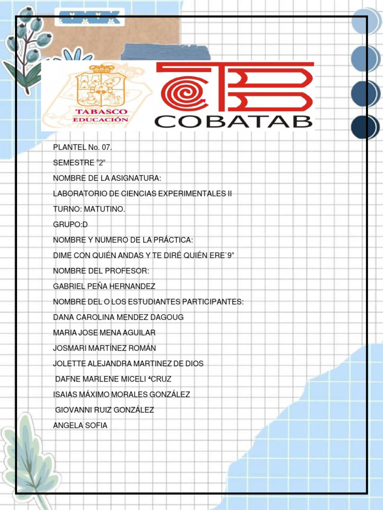 Práctica 9 Labo | PDF | Agua | Hirviendo