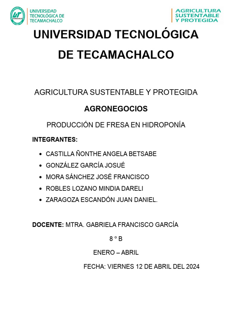 Proyecto Gaby 2 | Descargar gratis PDF | Business | Agricultura