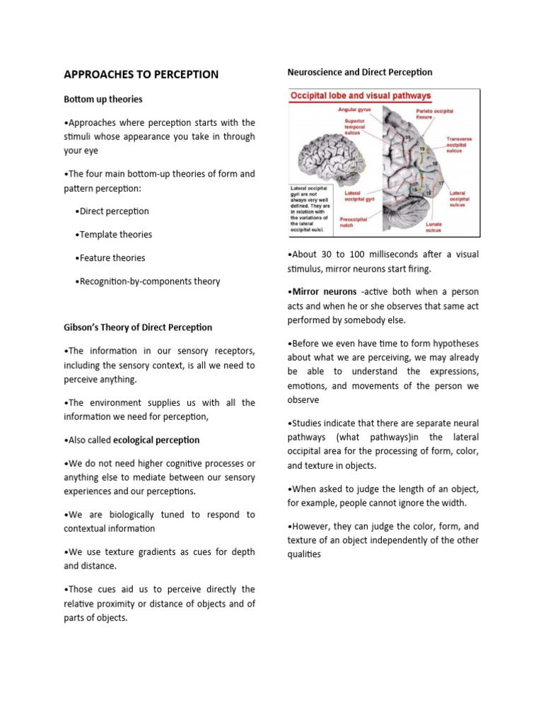 Approaches To Perception | PDF | Perception | Cognitive Science