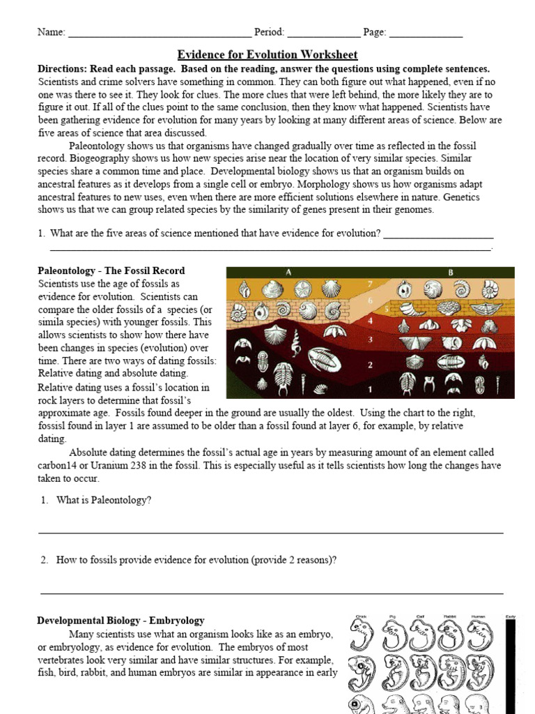 Evidence For Evolution | PDF | Evolution | Fossil