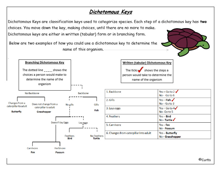 Dichotomous Keys Hint Card | PDF