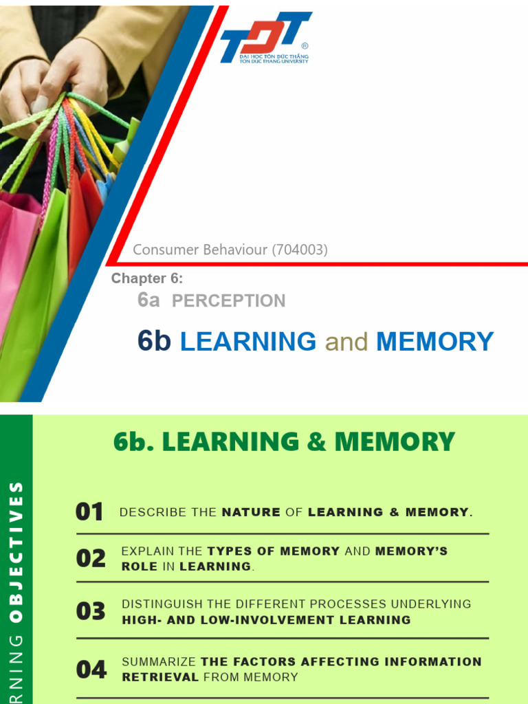 Chapter 6B - Learning & Memory in (Chapter 6 - Perception, Learning & Memory) | PDF | Learning ...