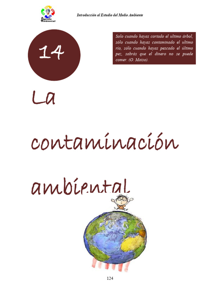 Tipos y Efectos de la Contaminación Ambiental | PDF | Contaminación | Agua