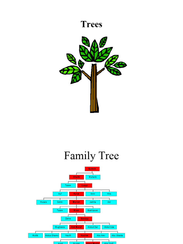 Algorithms Lecture11 Trees 08052024 010112pm Pdf Algorithms Algorithms And Data Structures 8125