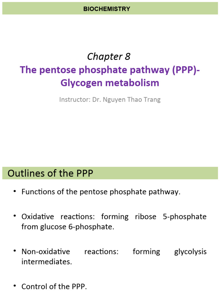 Chapter 8 - Pentose Phosphate Pathway-Glycogen Metabolism | PDF | Glycogen | Glycolysis