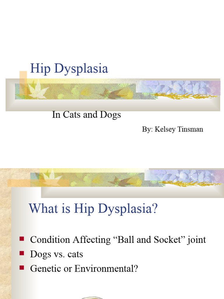 7 HipDysplasia KHT | PDF | Wellness