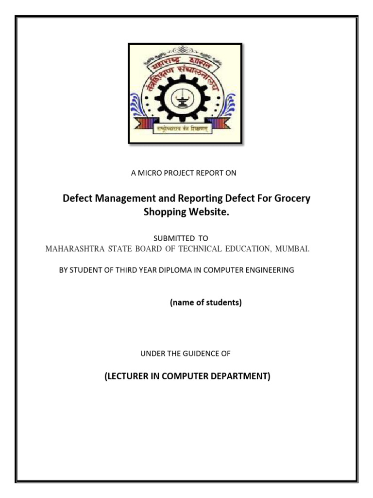 Defect Management for Grocery Website | PDF | Software Bug | Software ...
