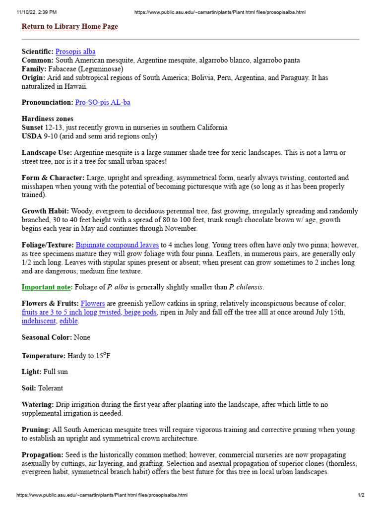 Prosopis alba: Argentine Mesquite Guide | PDF | Trees | Wood