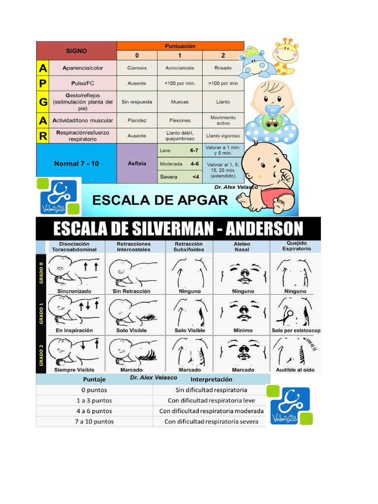 Escalas De Valoración Del Recién Nacido Pdf