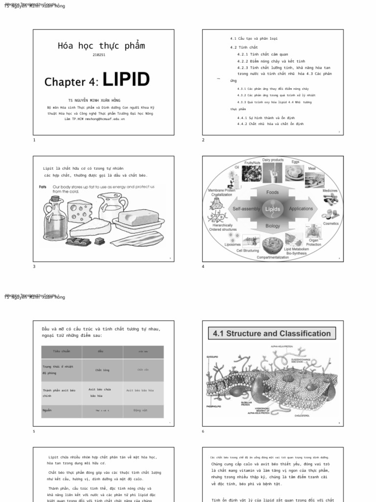 FC4-Lipid | PDF
