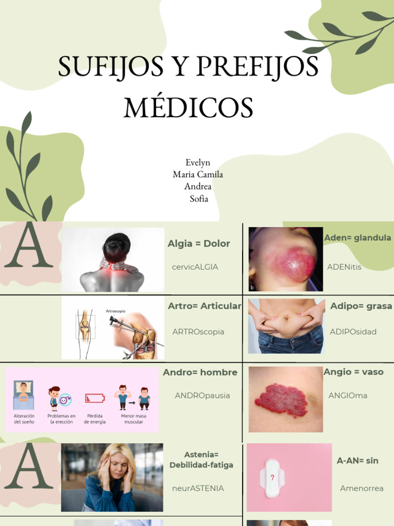 Sufijos y Prefijos Médicos | PDF | Especialidades Medicas | Medicina CLINICA