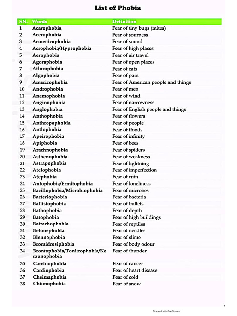 Phobia Words | PDF