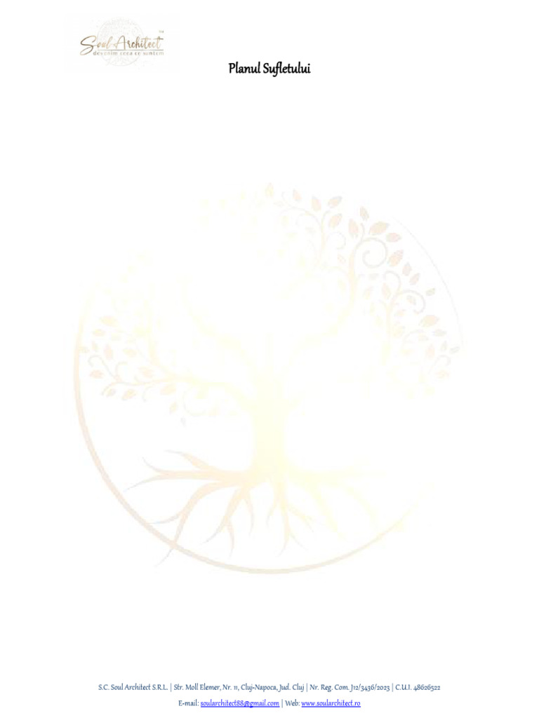 Antet Soul Architect | PDF