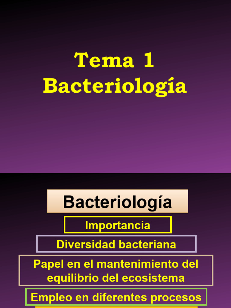 1, Importancia de Las Bacterias | PDF | Bacterias Gram-negativo | Las ...