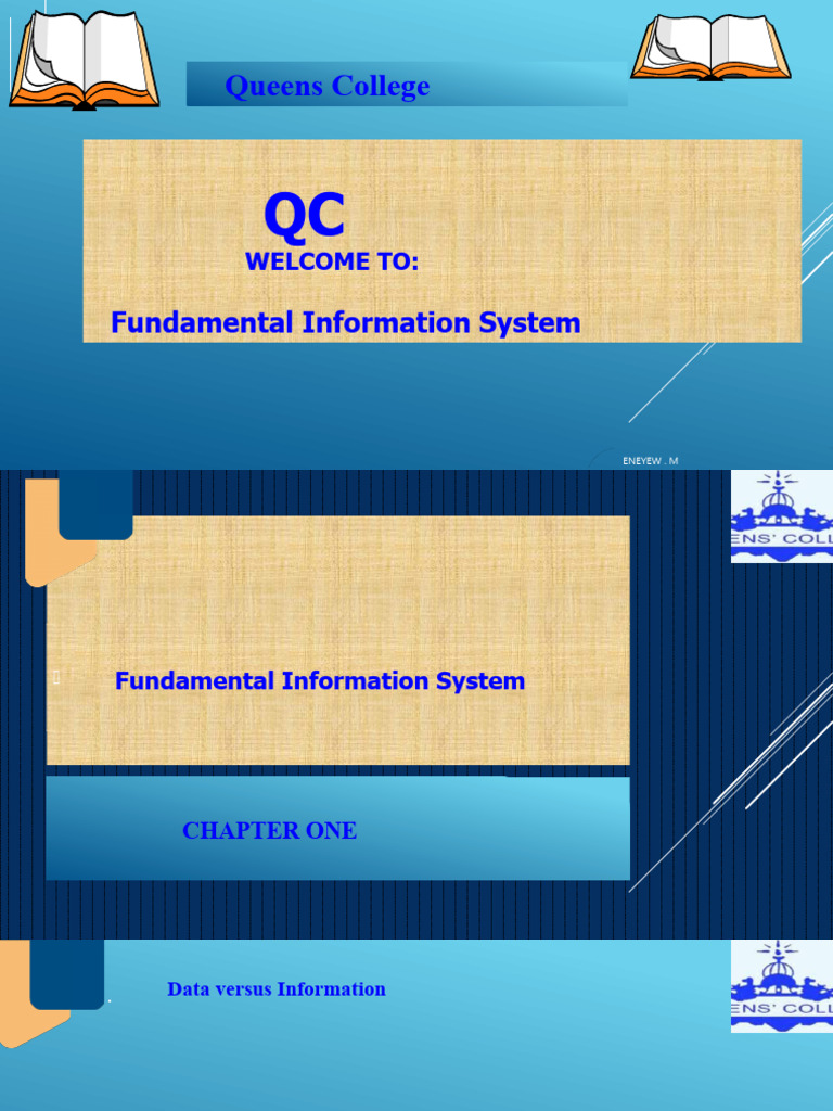 Chapter One FIS | PDF | System | Information System