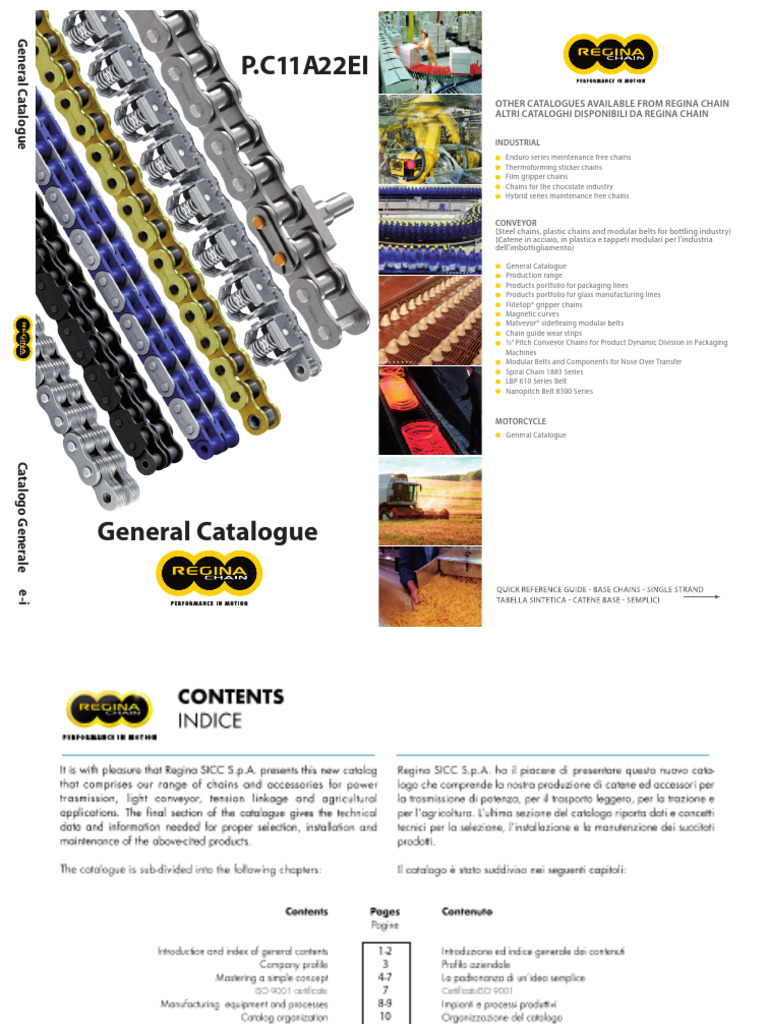 Catene Regina | PDF | Iso 9000 | Production And Manufacturing