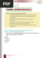 Afaan Oromoo Kutaa - 4ffaa | PDF